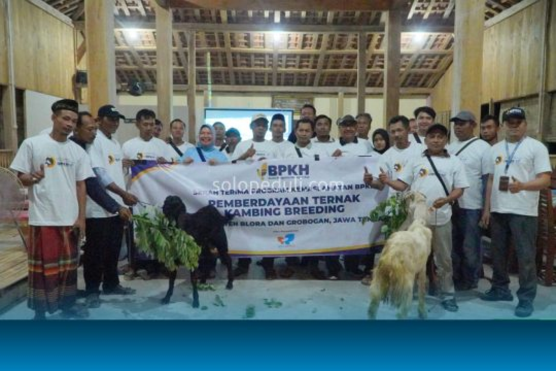 BPKH - Solo Peduli Perkuat Ekonomi Umat Melalui Ternak Kambing Breeding BPKH - Solo Peduli Perkuat Ekonomi Umat Melalui Ternak Kambing Breeding